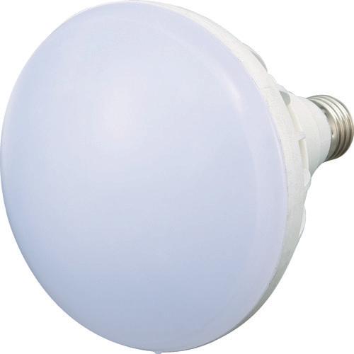 หลอดไฟ LED 20W สำหรับโคมฟลัดไลท์ LED TRUSCO – kital-japanese